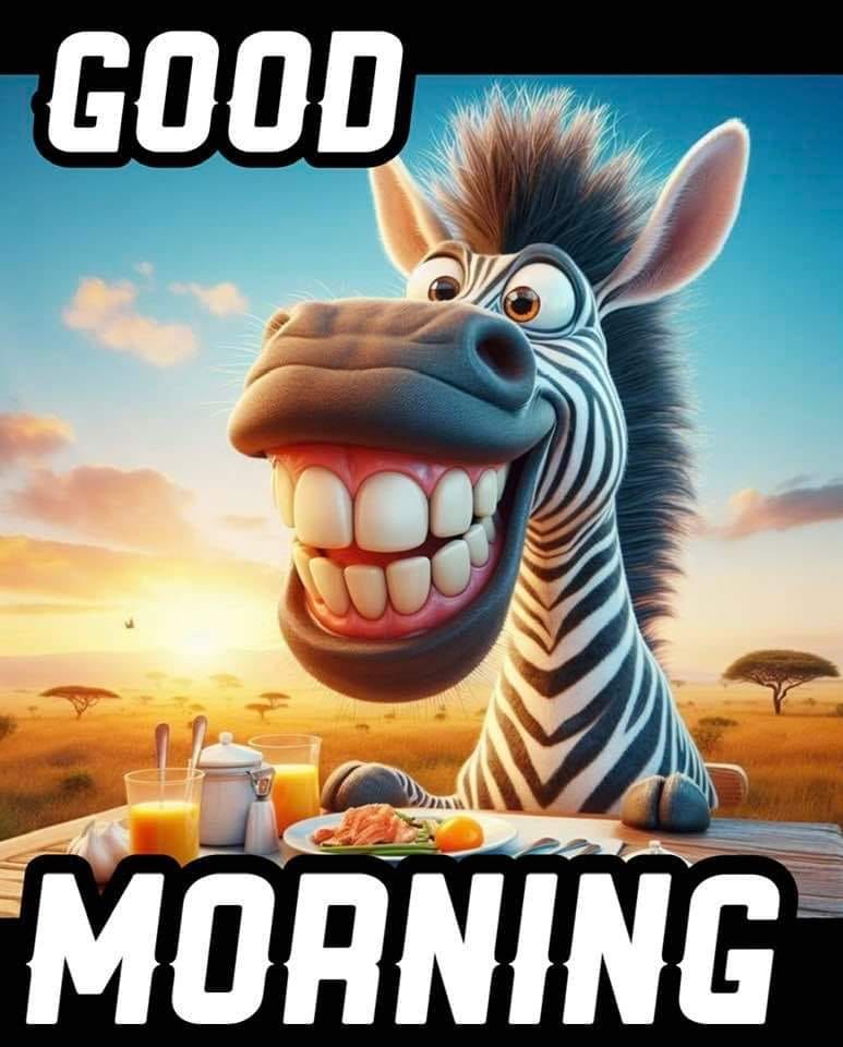 Hungry Zebra: Good Morning Pictures, Photos, and Images for Facebook ...