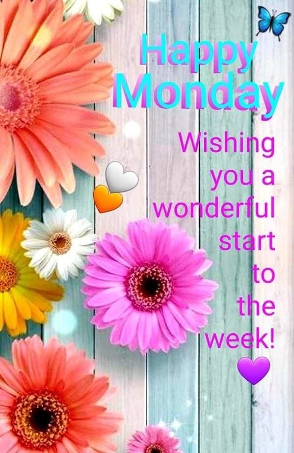 Wishing You A Wonderful Start To The Week. Happy Monday Pictures, Photos, and Images for ...