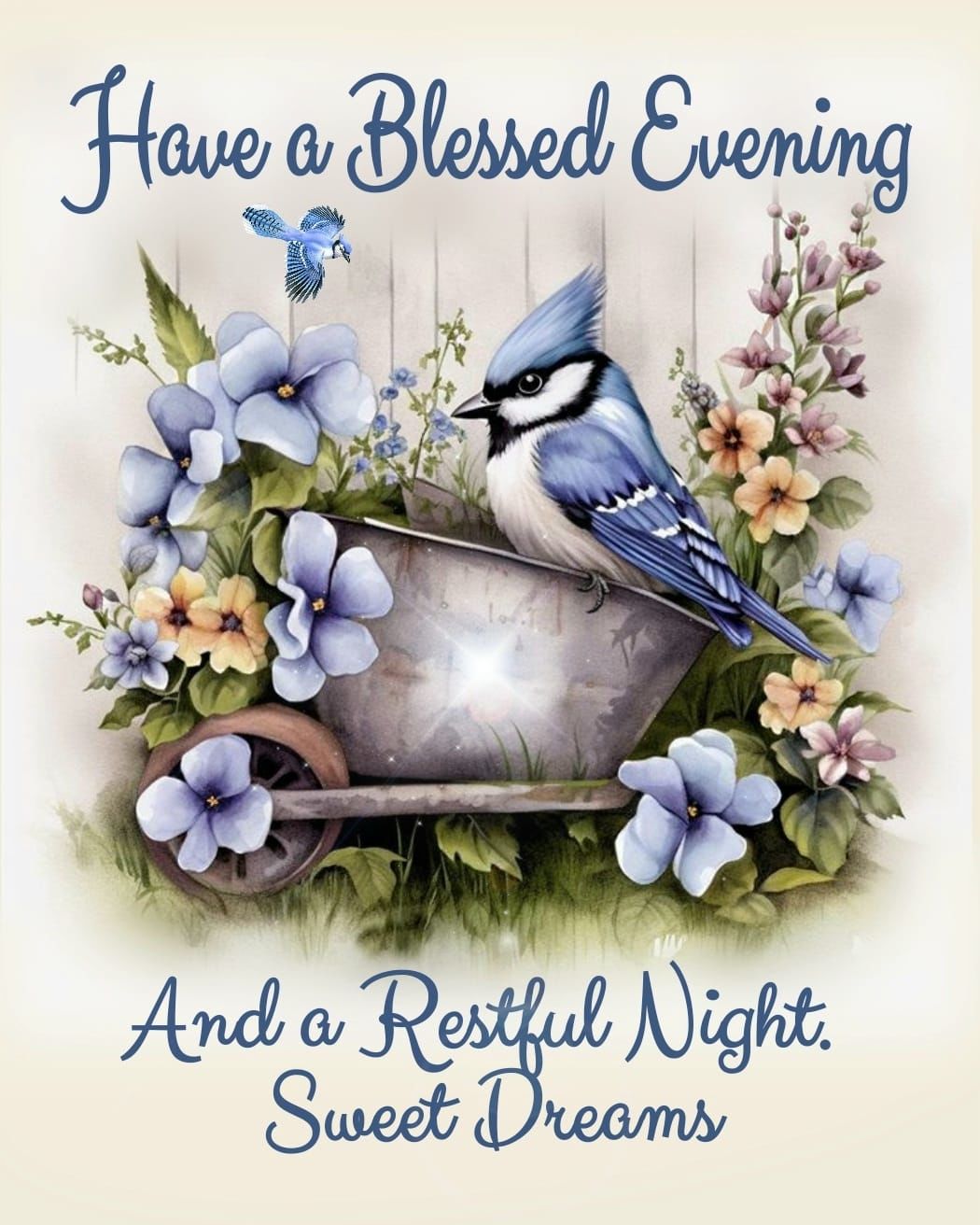 Blessed Evening And A Restful Night Pictures, Photos, and Images for ...