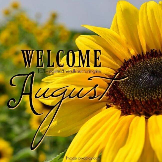 Welcome August With Sunflowers Pictures, Photos, and Images for ...