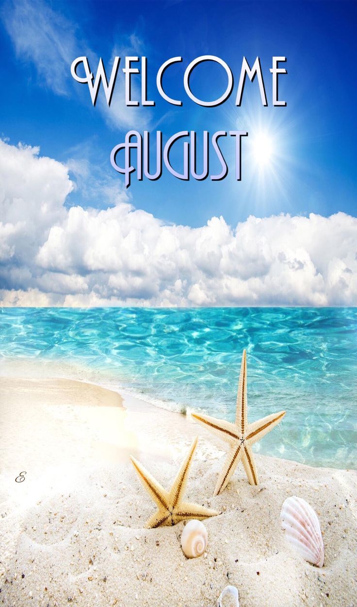 Starfish And Seashell - Welcome August Pictures, Photos, and Images for ...