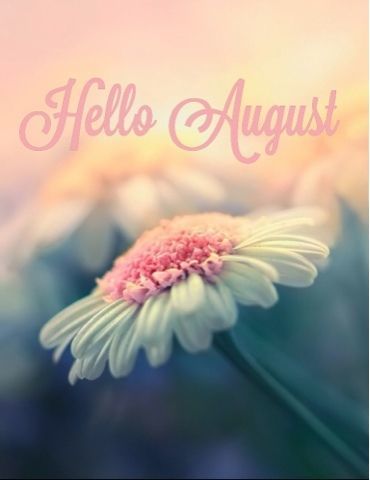 Hello August Greeting With Beautiful Flower Pictures, Photos, and ...