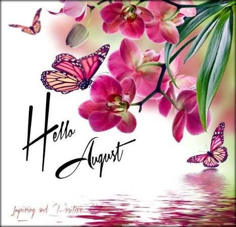 Pink Butterflies And Flowers - Hello August Pictures, Photos, and ...
