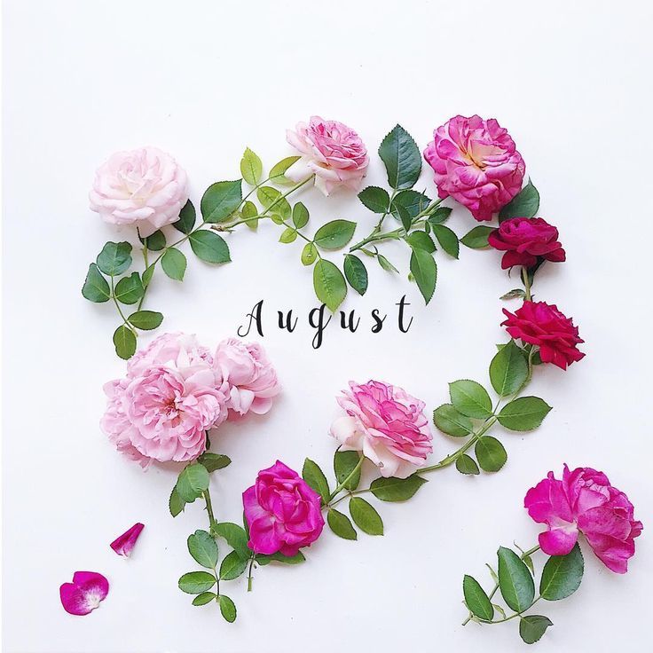 Pink Florals - August Quote Pictures, Photos, and Images for Facebook ...