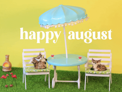 Happy August Gif With Kittens Pictures, Photos, and Images for Facebook ...