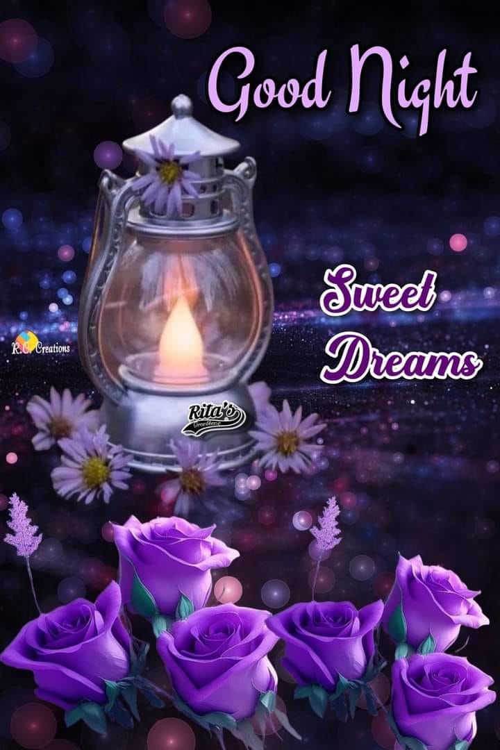 Lantern And Rose - Good Night Quote Pictures, Photos, and Images for ...