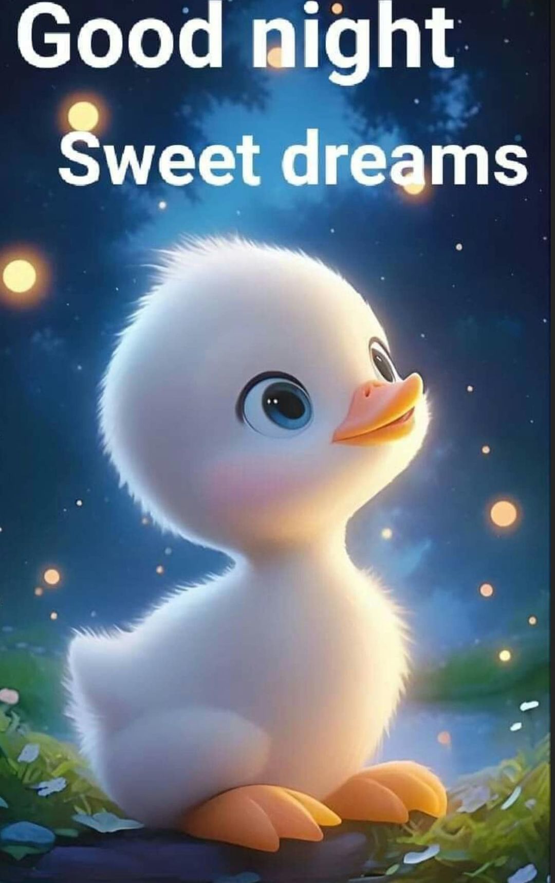 Good Night Duck Pictures, Photos, and Images for Facebook, Tumblr ...