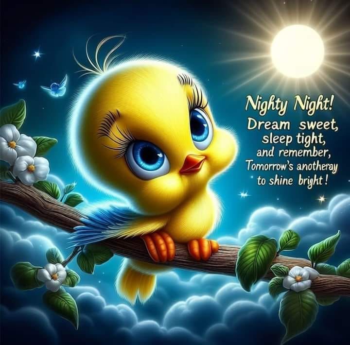 Nighty Night! Dream Sweet, Sleep Tight, And Remember, Tomorrow's ...