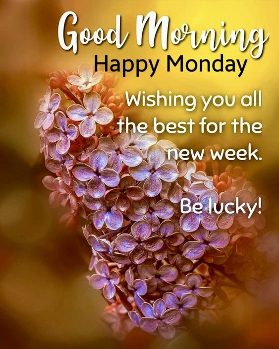Wishing You All The Best For The New Week. Be Lucky! Good Morning ...