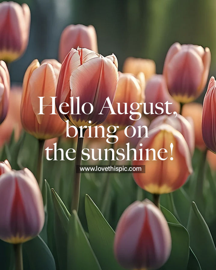 Hello August, Bring On The Sunshine! Pictures, Photos, and Images for ...