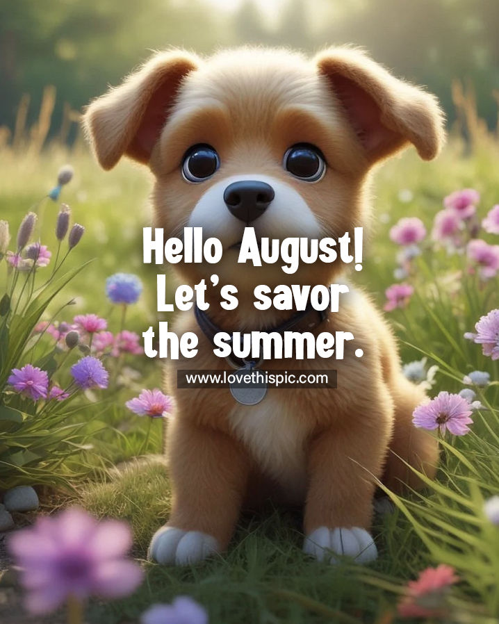 Hello August! Let’s Savor The Summer. Pictures, Photos, and Images for ...