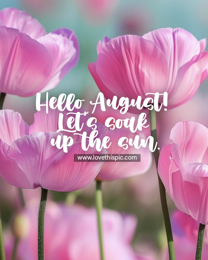 Hello August! Let’s Soak Up The Sun. Pictures, Photos, and Images for ...