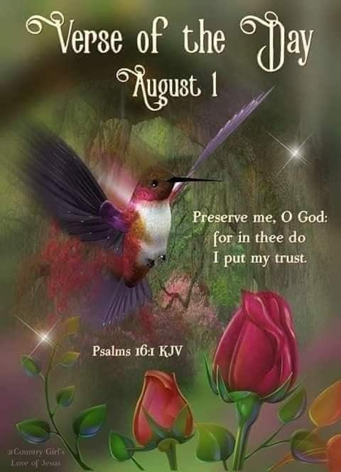 Psalms 16:1 Verse Of The Day. August 1 Pictures, Photos, and Images for ...