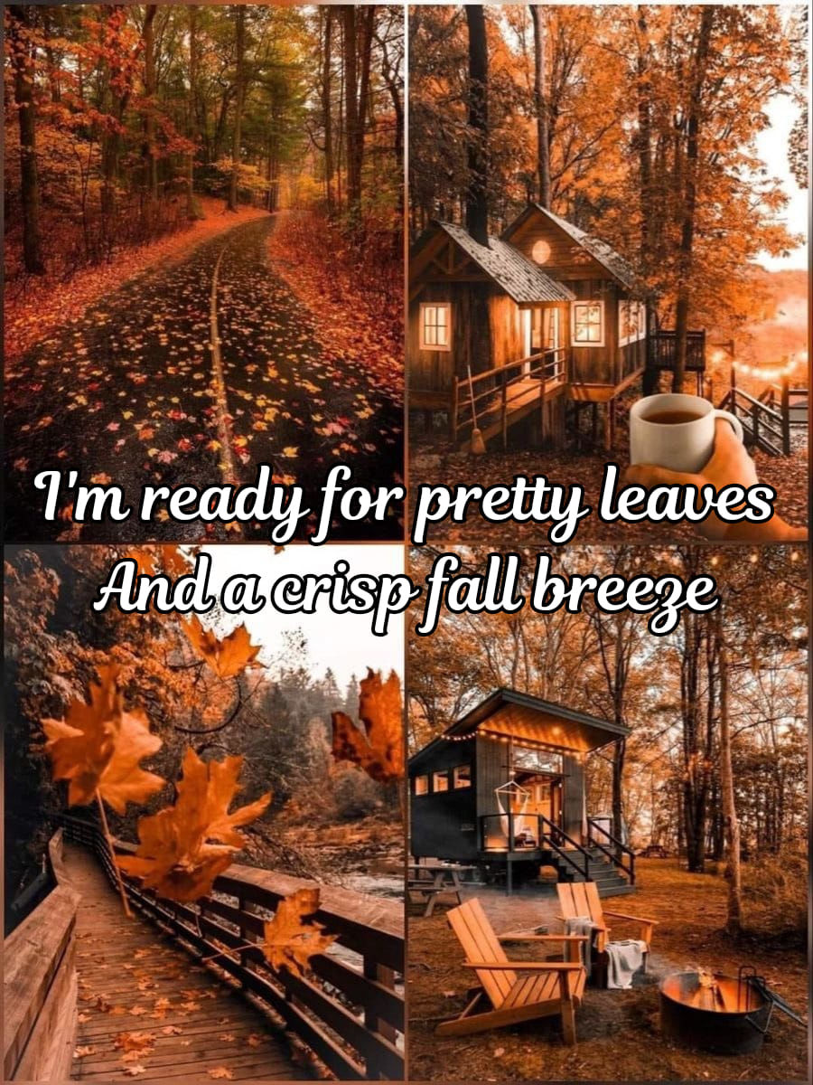 I'm Ready For Pretty Leaves And A Crisp Fall Breeze Pictures, Photos, and Images for Facebook ...