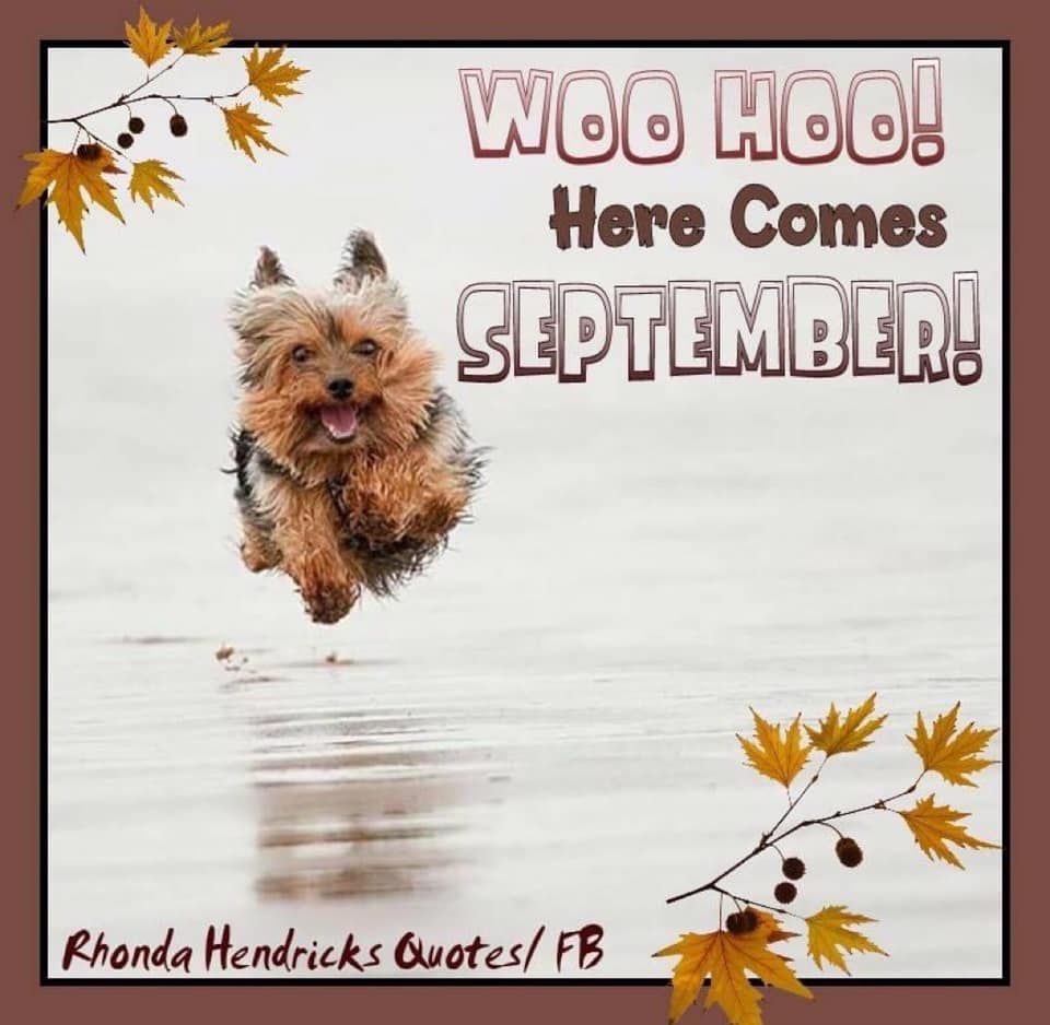 Woo Hoo! Here Comes September! Pictures, Photos, and Images for ...