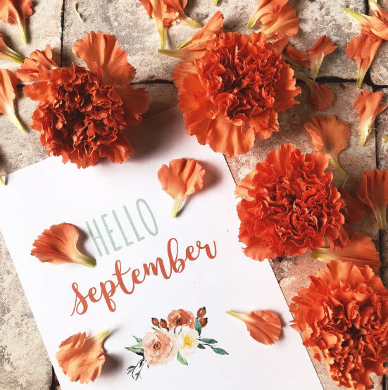 Orange Flower Hello September Quote Pictures, Photos, and Images for ...