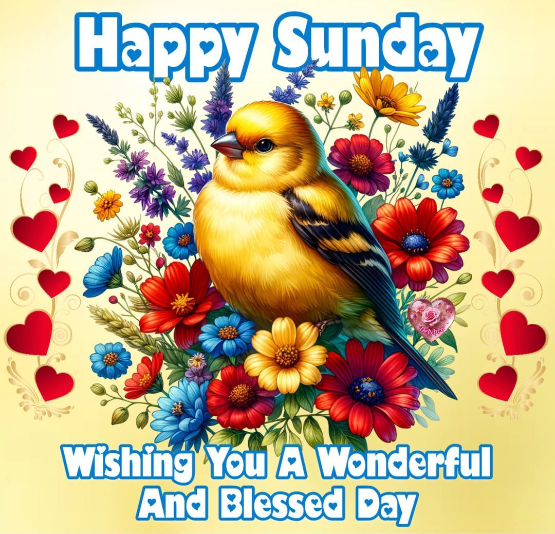 Happy Sunday Blessing With Beautiful Bird Pictures, Photos, and Images ...