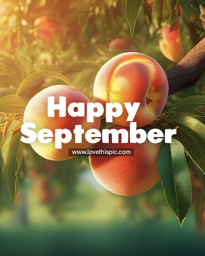 Peach Harvest - Happy September Pictures, Photos, and Images for ...