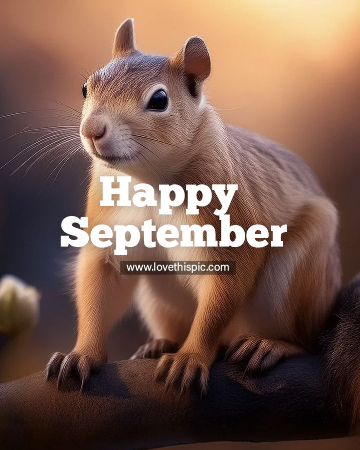Ai Squirrel - Happy September Pictures, Photos, and Images for Facebook ...