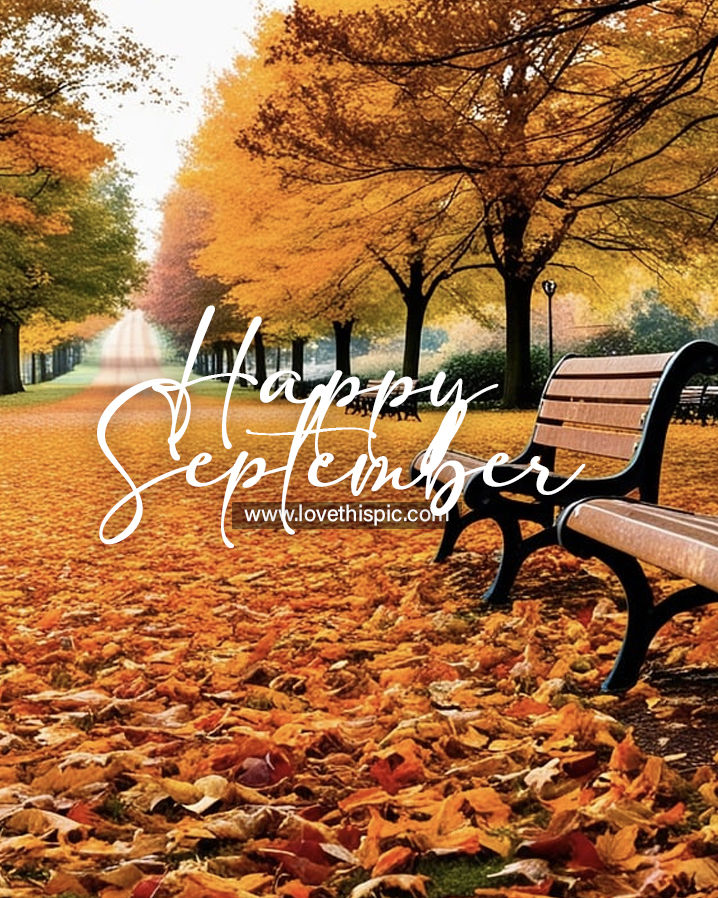 Leaves In The Park - Happy September Pictures, Photos, and Images for ...