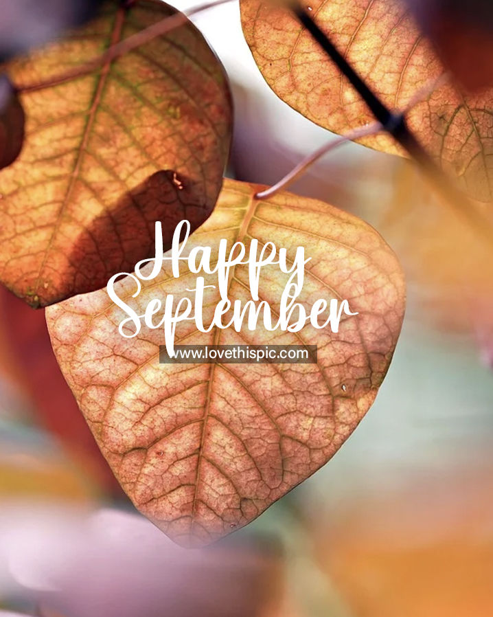 Orange Leaves - Happy September Pictures, Photos, and Images for ...