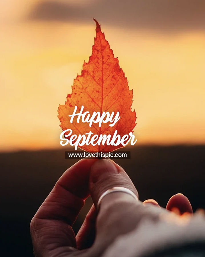 Leaf In Autumn Sunset - Happy September Pictures, Photos, and Images ...