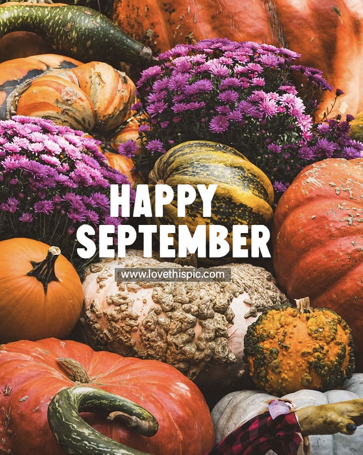 Pumpkin Harvest - Happy September Pictures, Photos, and Images for ...