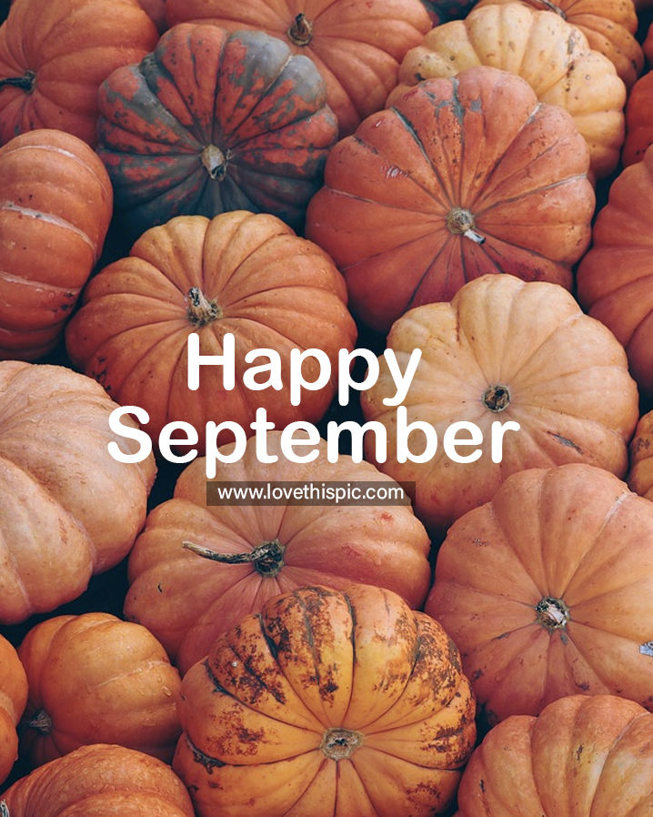Mini Pumpkin Happy September Quote Pictures, Photos, and Images for ...