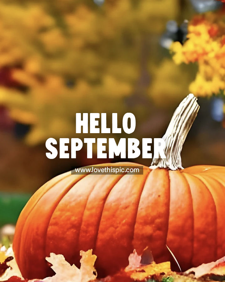 Pumpkin In Leaves - Hello September Pictures, Photos, and Images for ...