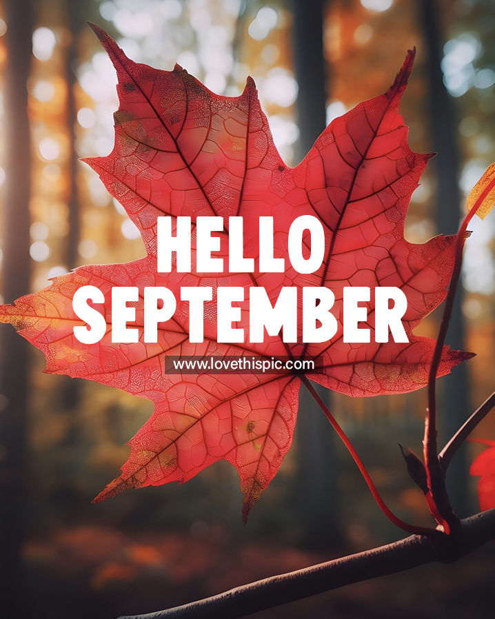 Ai Maple Leaf - Hello September Pictures, Photos, and Images for ...