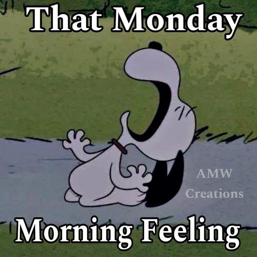 That Monday Morning Feeling Pictures, Photos, and Images for Facebook ...