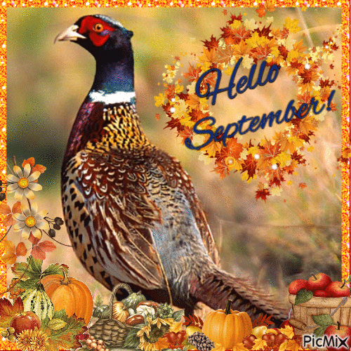 Hello September Pictures, Photos, and Images for Facebook, Tumblr ...