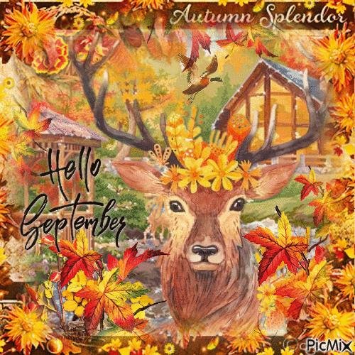 Autumn Splendor, Hello September Pictures, Photos, and Images for ...