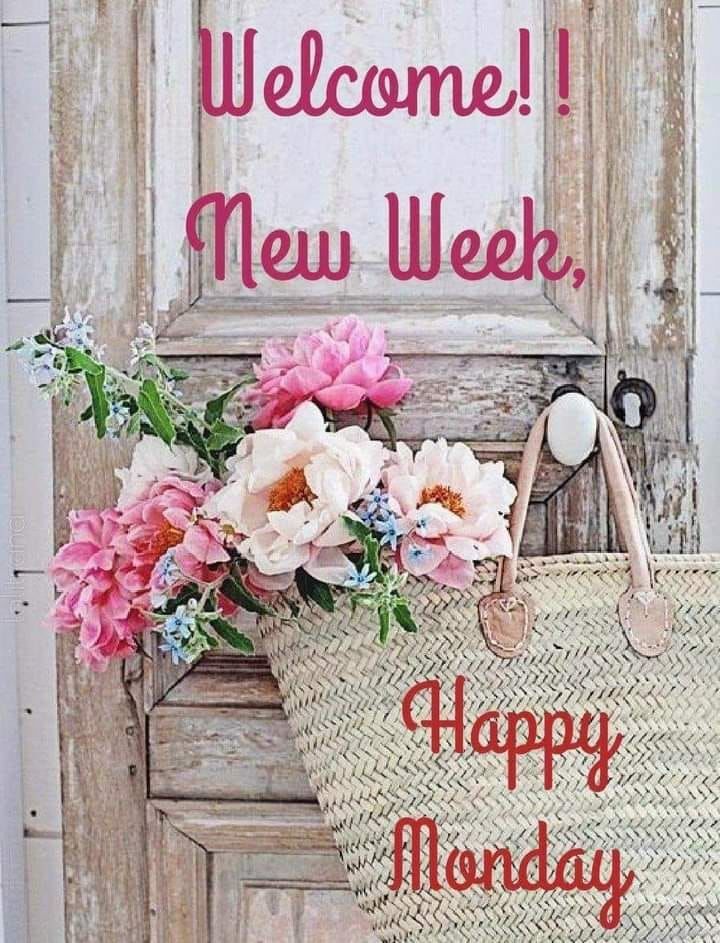 Welcome The New Week, Happy Monday! Pictures, Photos, and Images for ...