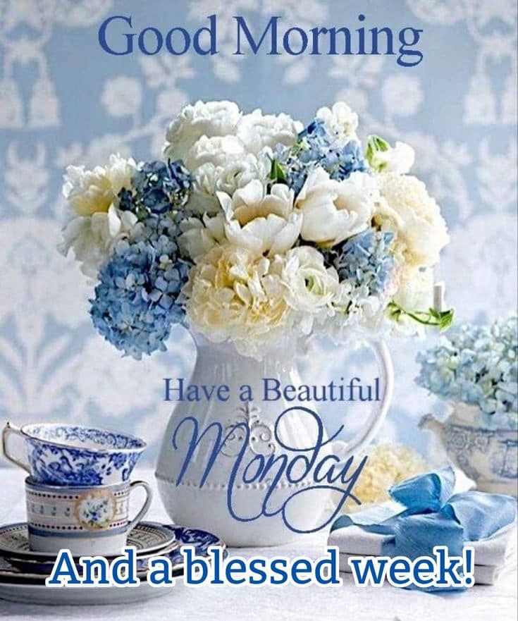 Assorted Flowers - Good Morning, Have A Beautiful Monday And A Blessed ...