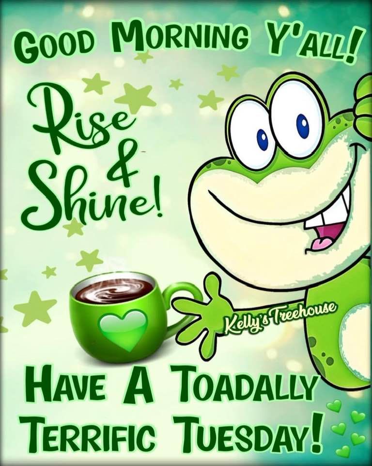 Have A Toadally Terrific Tuesday Pictures, Photos, and Images for ...