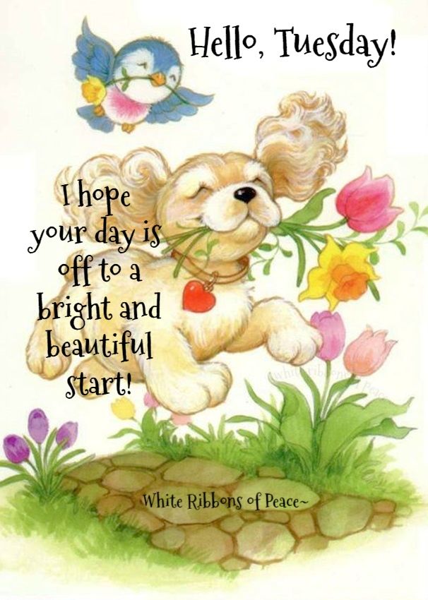 Hello, Tuesday! I Hope Your Day Is Off To A Bright And Beautiful Start ...