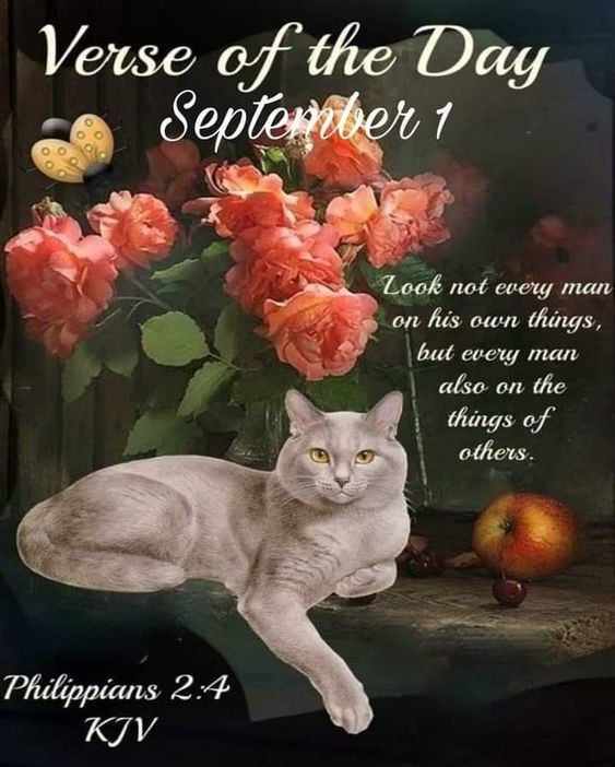 Philippians 2:4 Verse Of The Day: September 1 Pictures, Photos, and ...