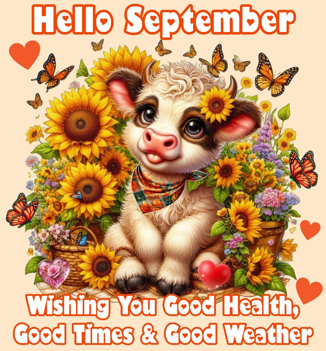 Wishing You Good Health, Good Times & Good Weather. Hello September ...