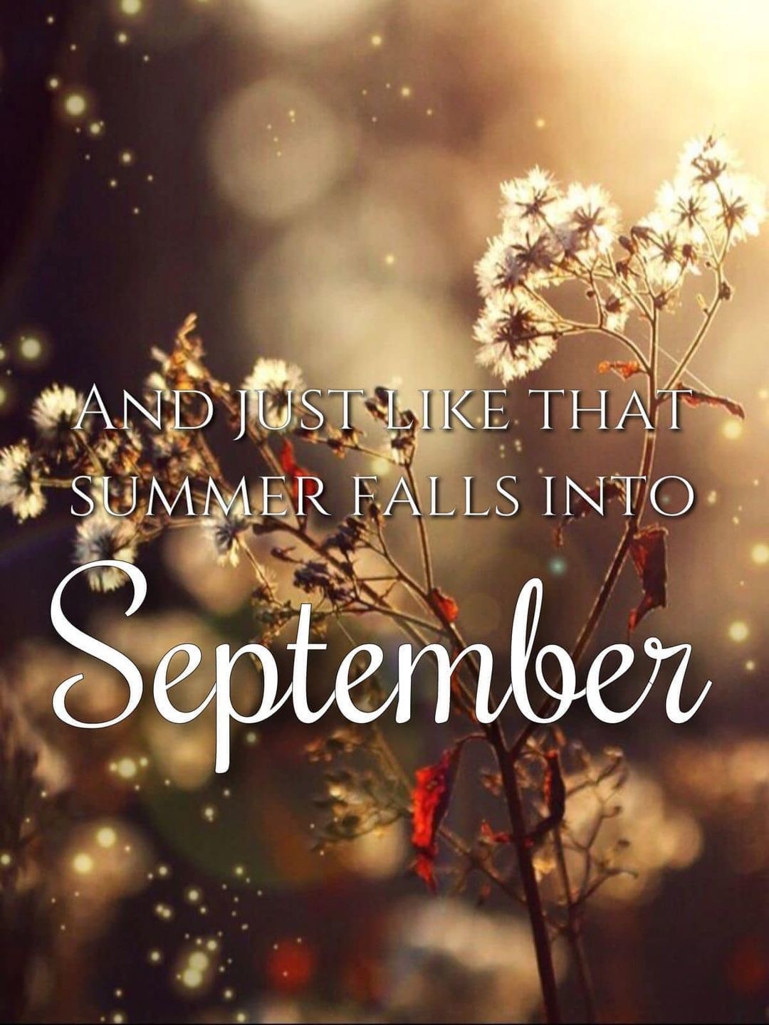 And Just Like That Summer Falls Into September Pictures, Photos, and ...