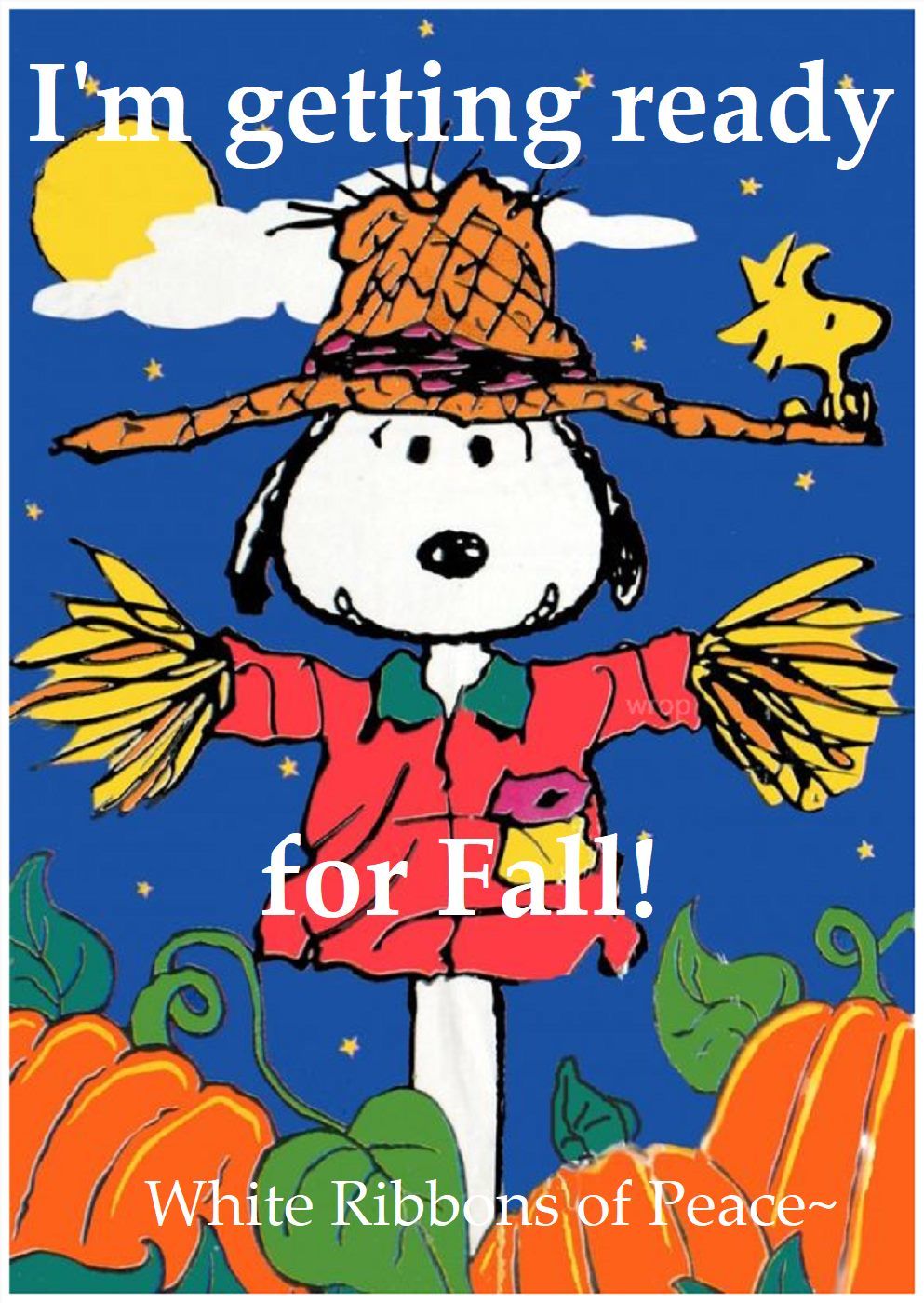 I'm Getting Ready For Fall Pictures, Photos, and Images for Facebook ...