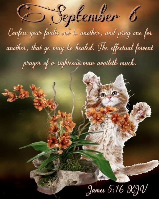 September 6 Pictures, Photos, and Images for Facebook, Tumblr ...