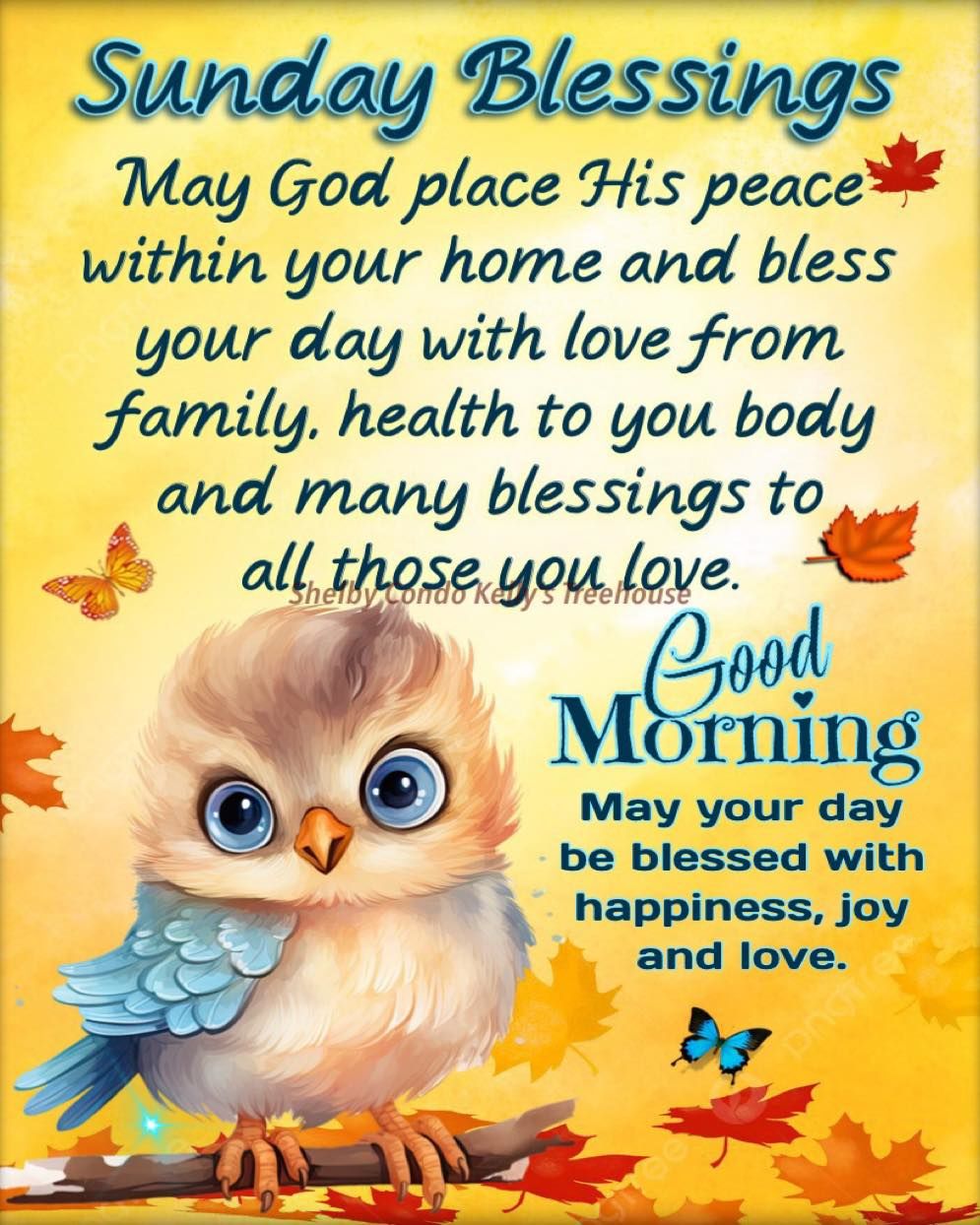 Owl Sunday Blessings Quote Pictures, Photos, and Images for Facebook ...