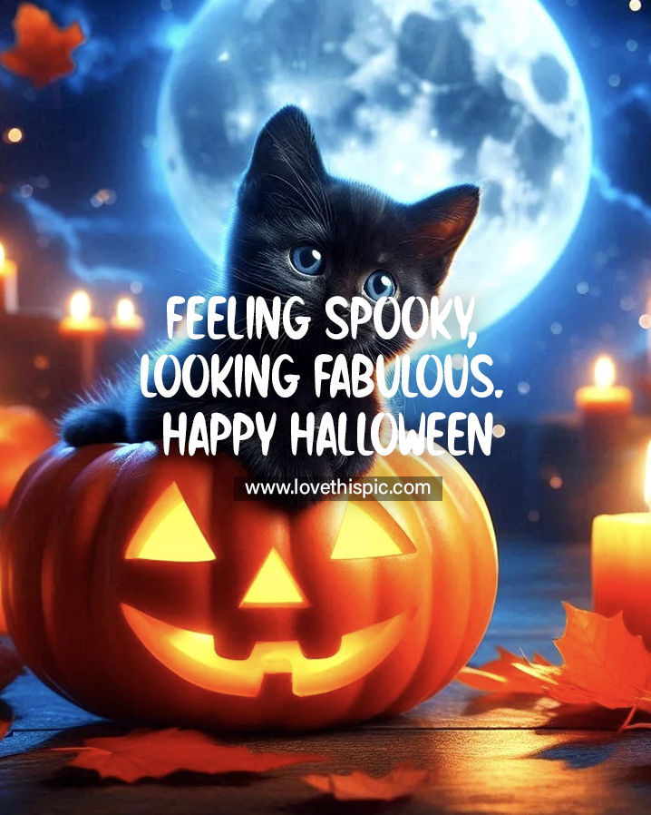 Feeling Spooky, Looking Fabulous. Happy Halloween Pictures, Photos, and ...
