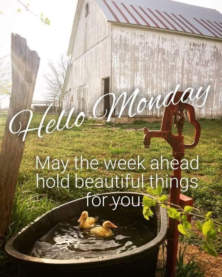 May The Week Ahead Hold Beautiful Things For You. Hello Monday Pictures ...