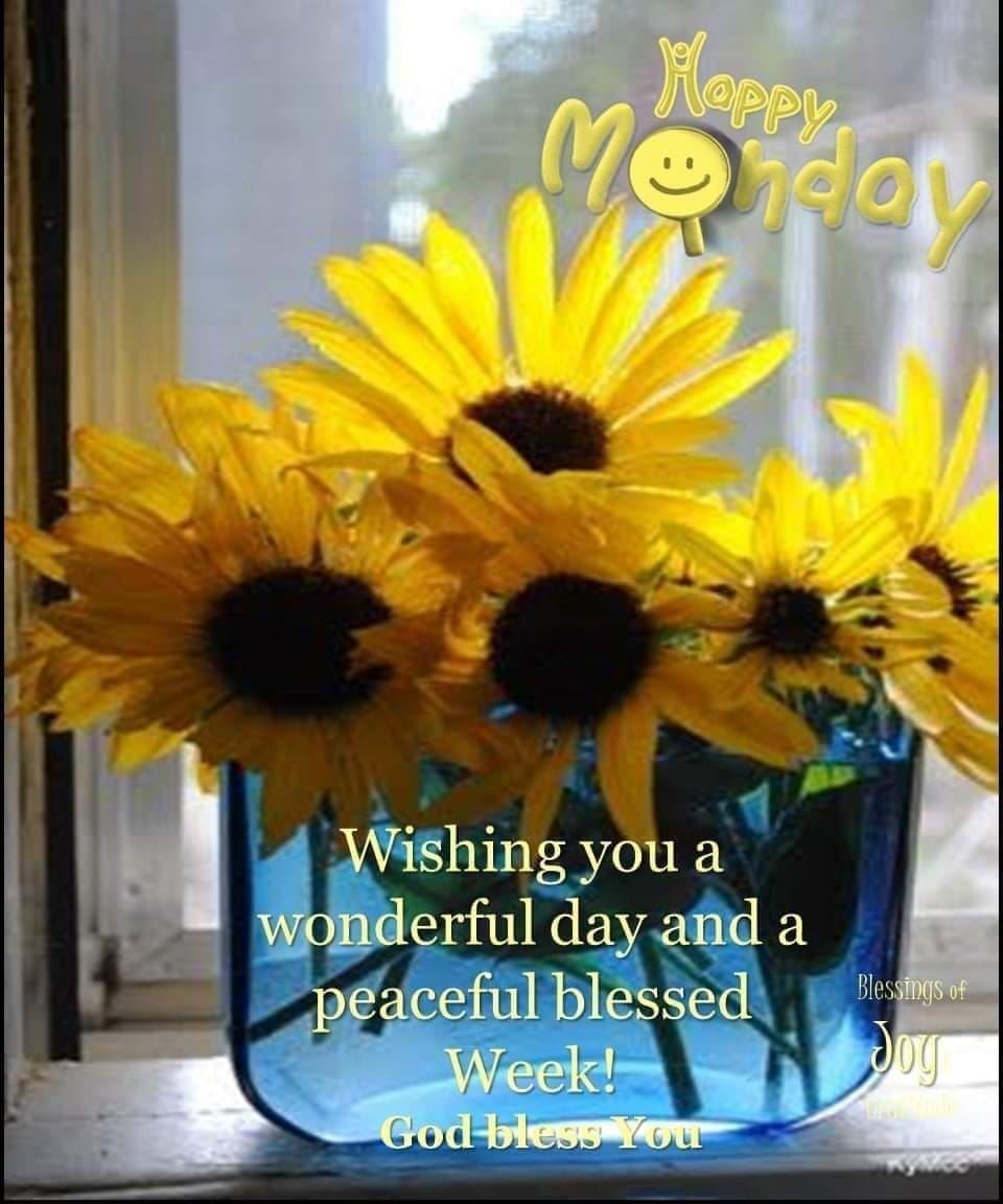 Sunflower Happy Monday Quote Pictures, Photos, and Images for Facebook ...