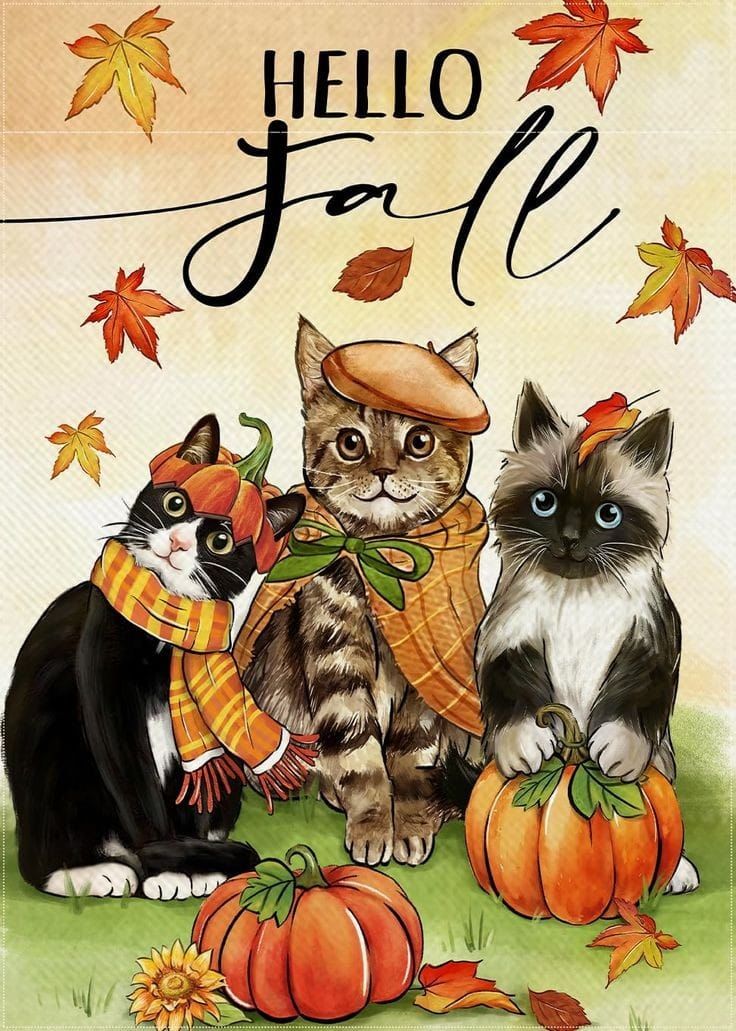 Hello Fall Cats Pictures, Photos, and Images for Facebook, Tumblr ...