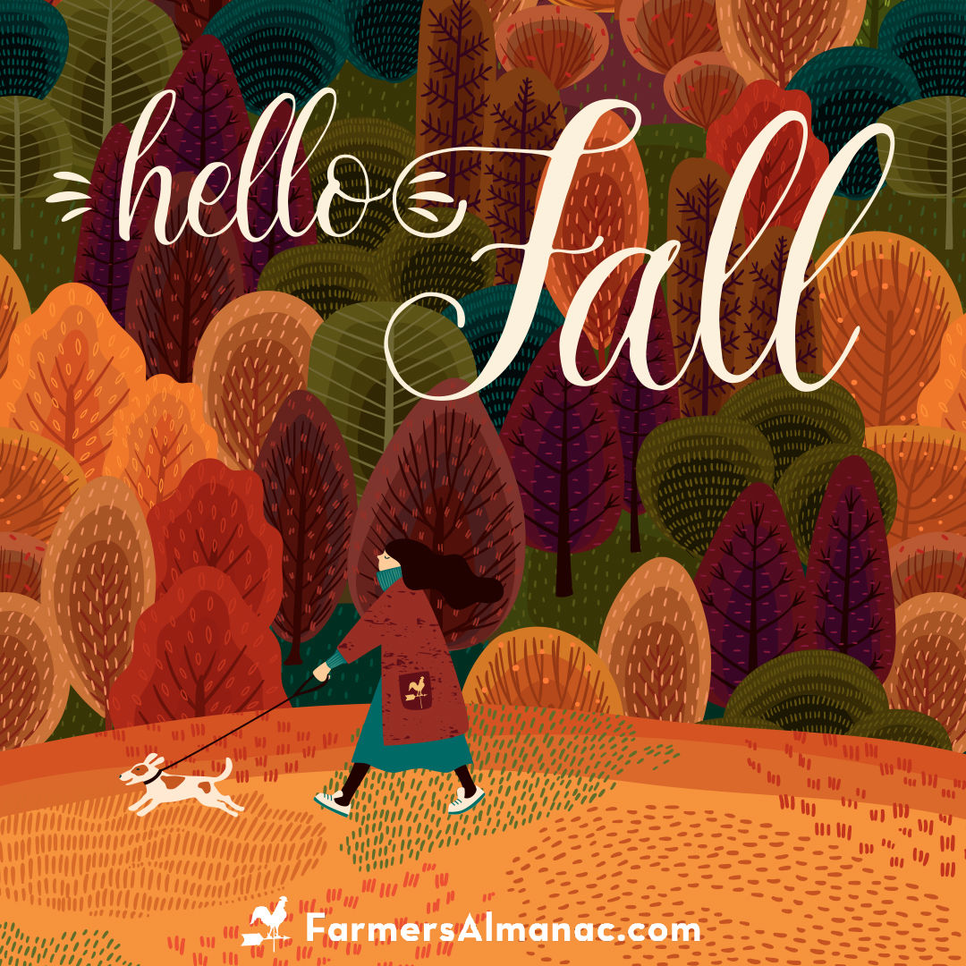 Fall Is In The Air! Hello Fall Pictures, Photos, and Images for ...