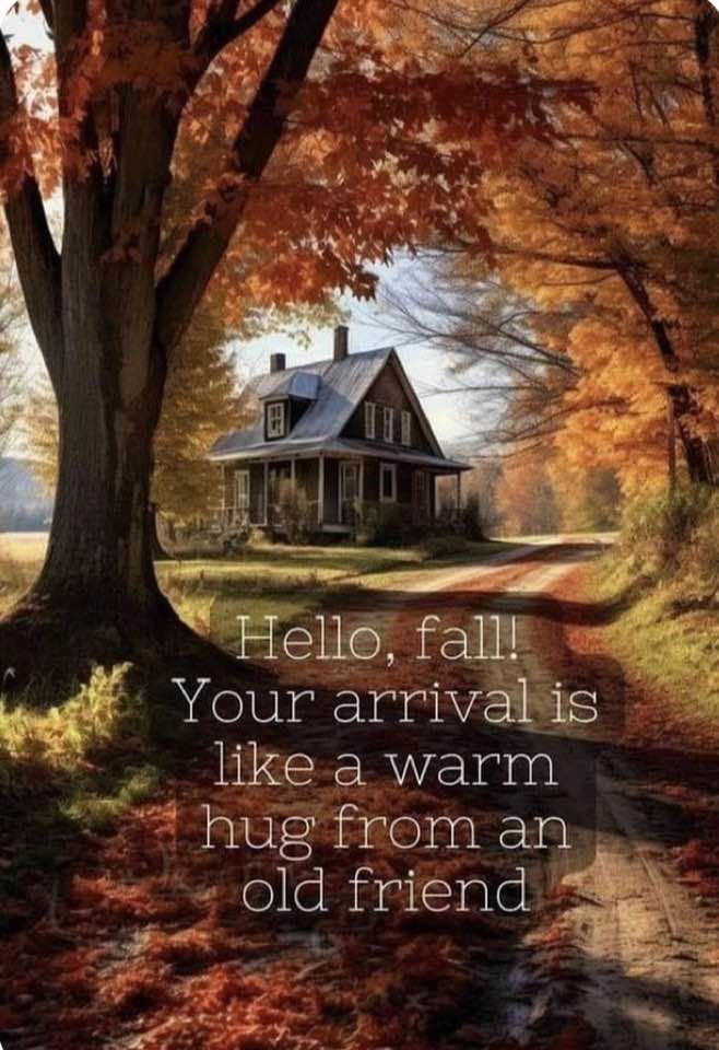 Hello, Fall! Your Arrival Is Like A Warm Hug From An Old Friend ...