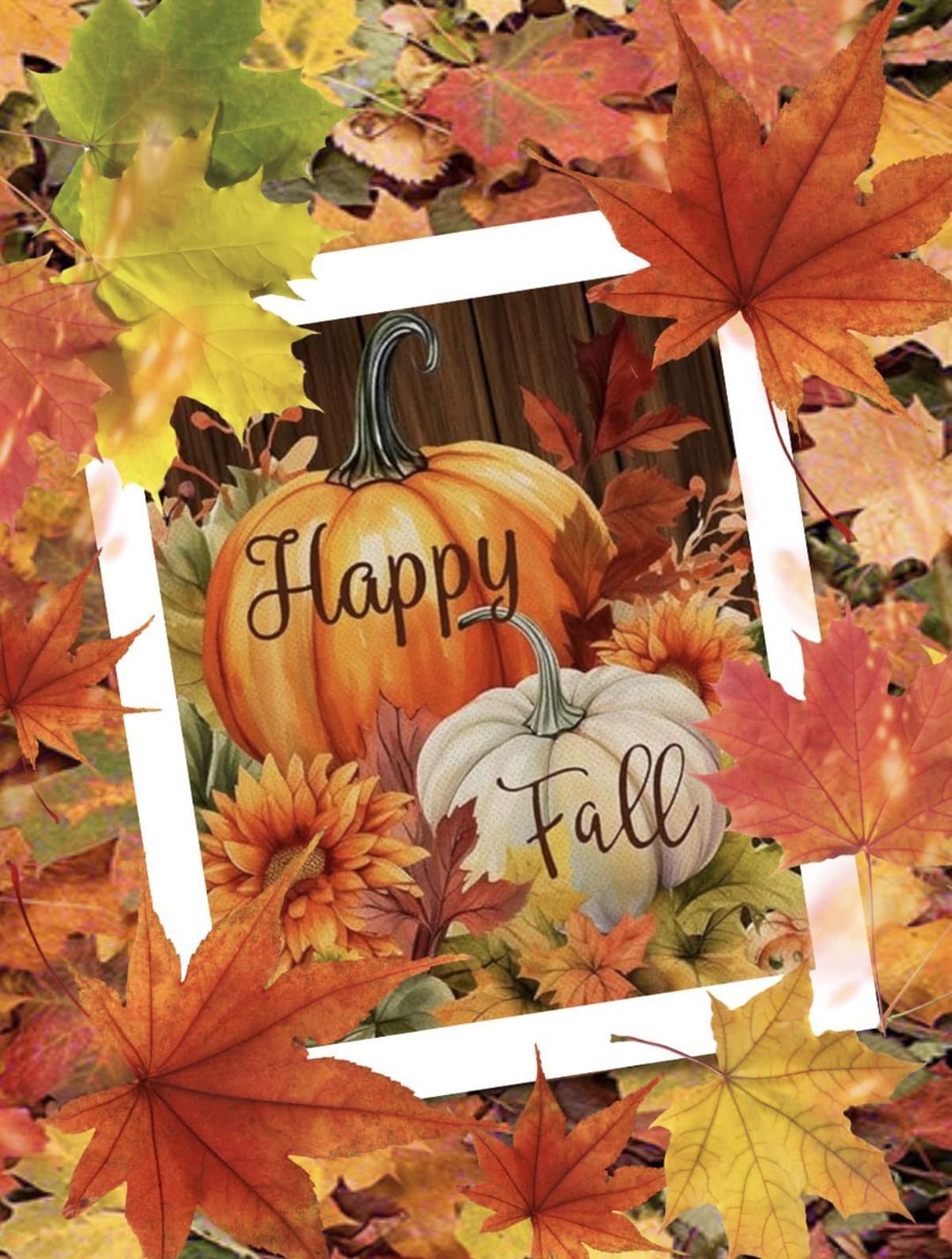 Happy Fall With Leaves And Pumpkins Pictures, Photos, and Images for ...